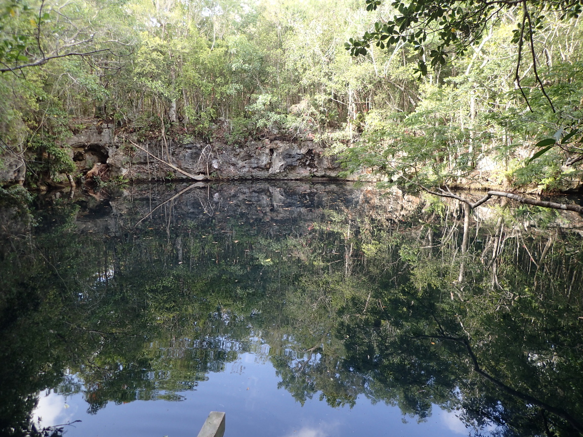 日本人ガイドのセノーテダイビングショップ｜Dive Club MaruMar（ダイブクラブ まーるまーる）｜メキシコのプラヤデルカルメンで ...