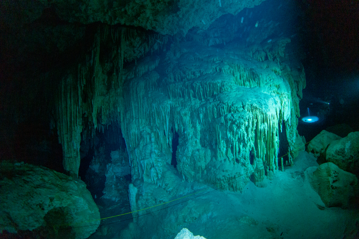日本人ガイドのセノーテダイビングショップ｜Dive Club MaruMar（ダイブクラブ まーるまーる）｜メキシコのプラヤデルカルメンで ...