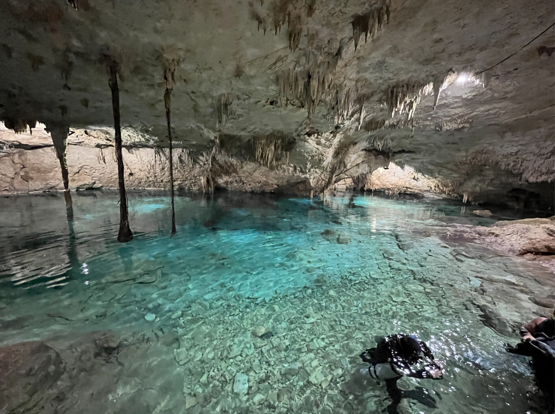 ポイント紹介 - 日本人ガイドのセノーテダイビングショップ｜Dive Club MaruMar（ダイブクラブ まーるまーる）｜メキシコのプラヤ ...