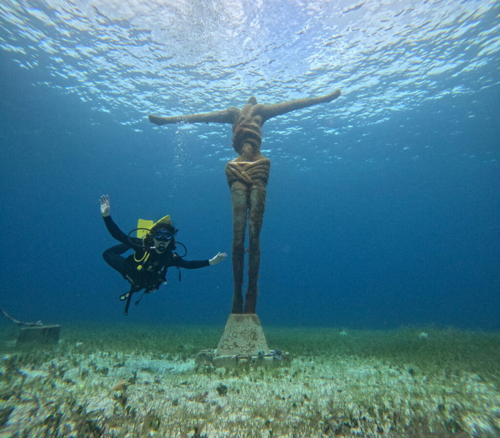 全く新しい世界 ️ - 日本人ガイドのセノーテダイビングショップ｜Dive Club MaruMar（ダイブクラブ まーるまーる）｜メキシコの ...